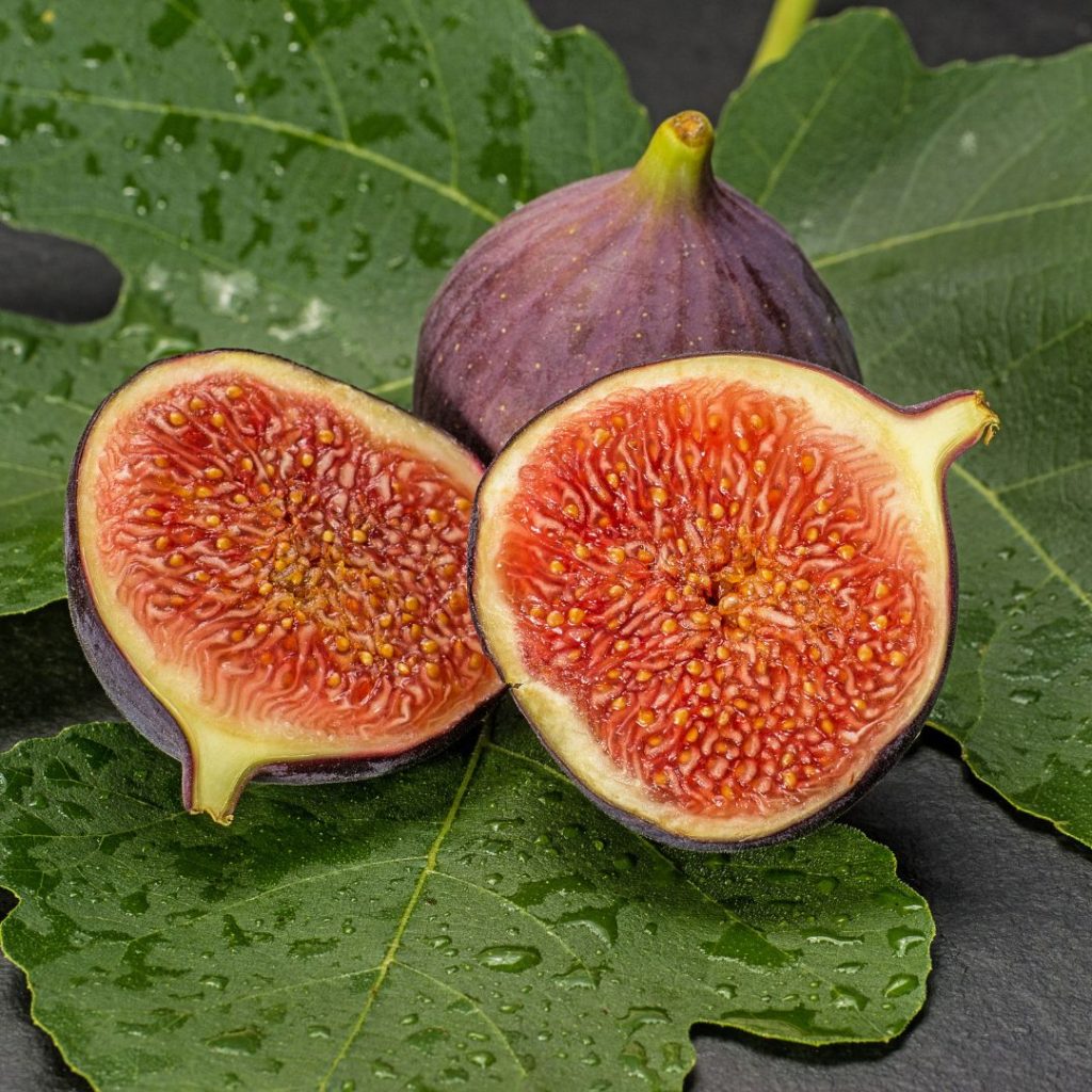 Forbidden Fruit - Botanikos